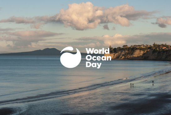 Home [www.seaweek.org.nz]