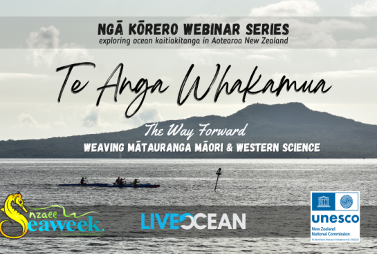 Te Anga Whakamua: Ngā Kōrero Webinar Recap