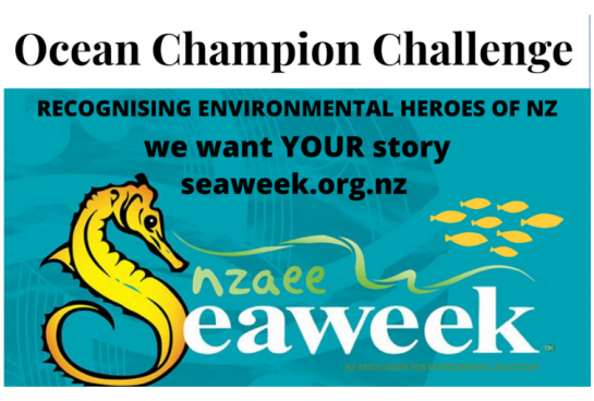 Ocean Champion Challenge