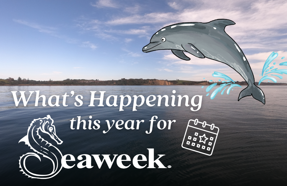 What's Happening this Seaweek