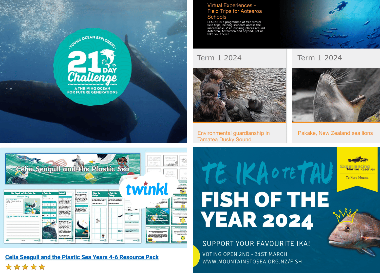 What's Happening this Seaweek