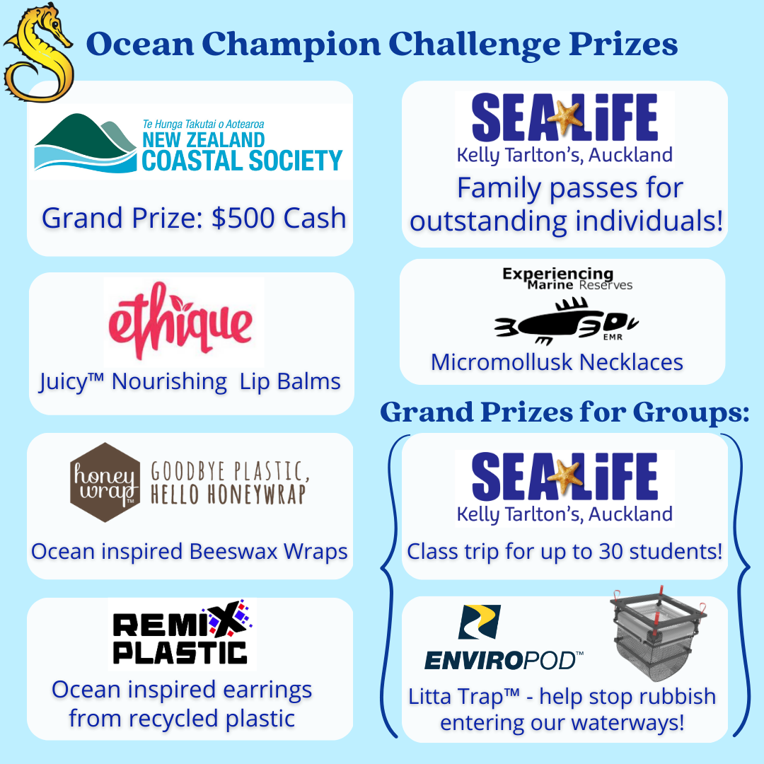 Ocean Champion Challenge